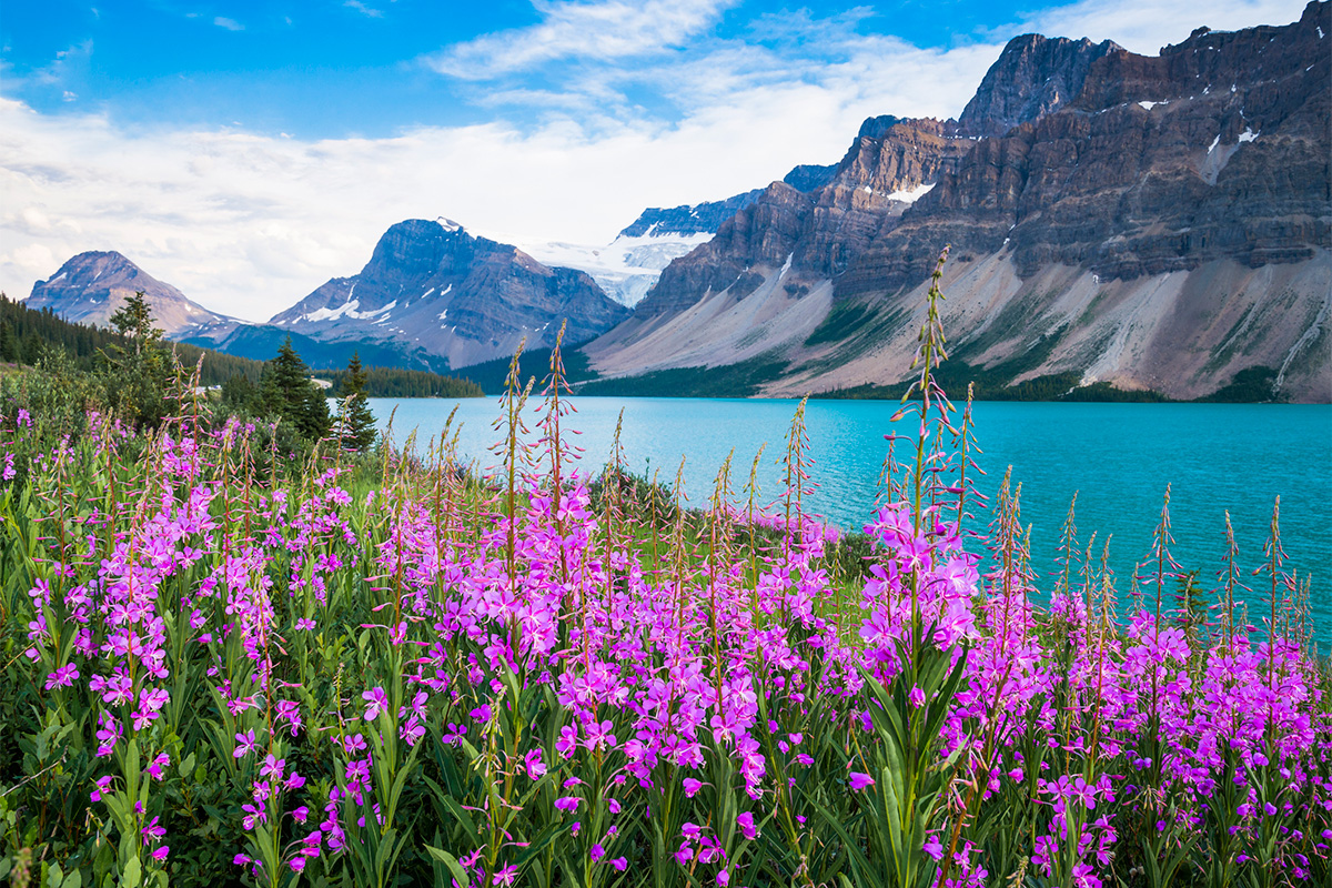 Travel trends 2017 - Lonely Planet names the top 10 countries to visit